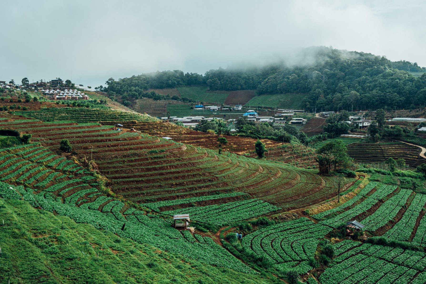 Doi Mon Jam Popular Places To Visit Forever Popular