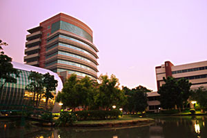 Rangsit University
